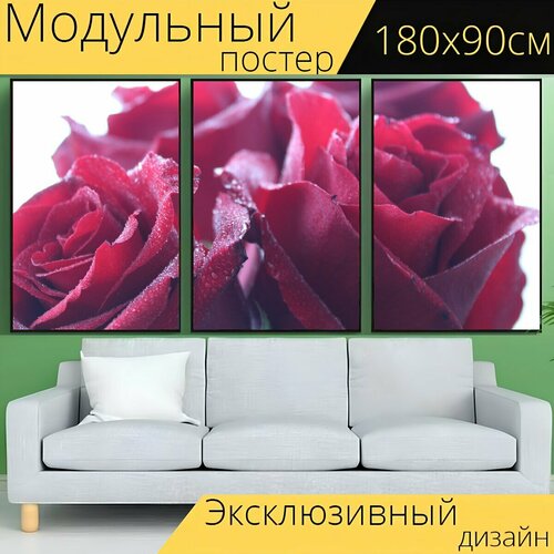 Модульный постер "Розы, цветок, красный" 180 x 90 см. для интерьера