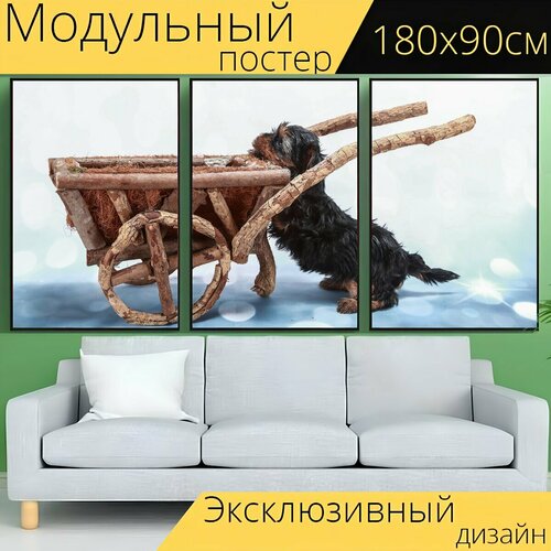 Модульный постер "Украшение, йорки, собака" 180 x 90 см. для интерьера