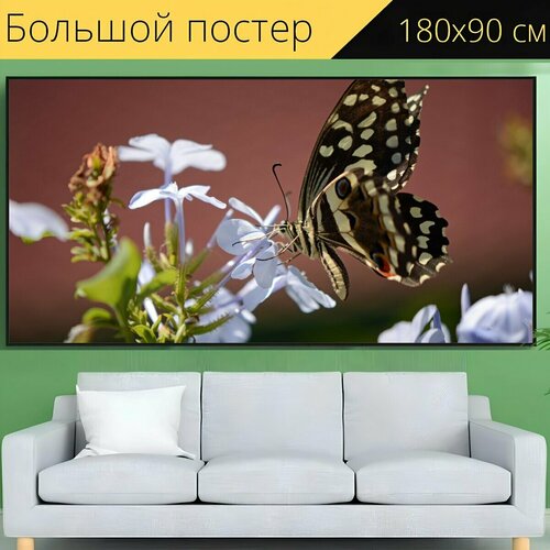 Большой постер "Бабочка, насекомое, цветы" 180 x 90 см. для интерьера