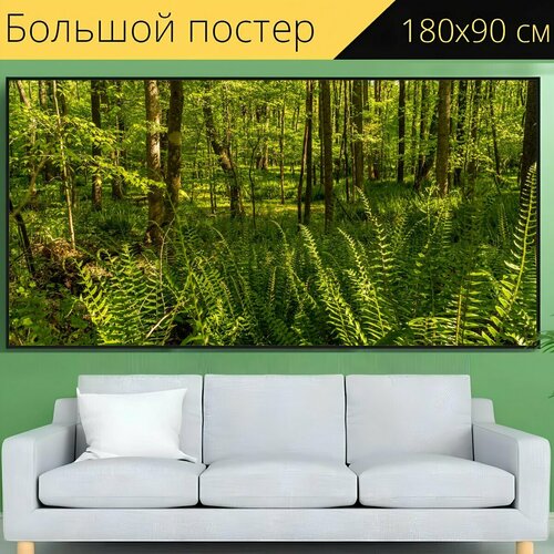 Большой постер "Папоротниковый лес, ферн ковровое покрытие, лес" 180 x 90 см. для интерьера