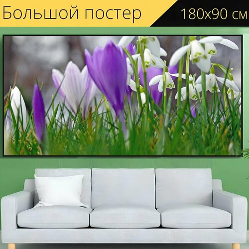 Большой постер "Цветы, фиолетовые цветы, весна" 180 x 90 см. для интерьера