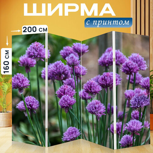 Ширма перегородка с принтом "Чеснок, фиолетовый, травы" на холсте - 200x160 см. для зонирования, раскладная