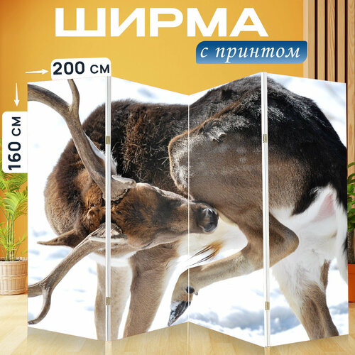 Ширма перегородка с принтом "Олень, животное, рог" на холсте - 200x160 см. для зонирования, раскладная