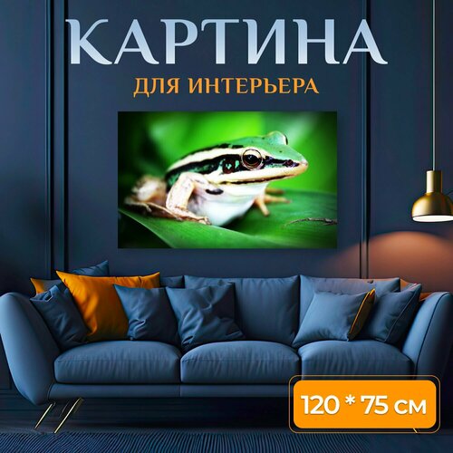 Картина на холсте "Древесная лягушка, амфибия, лягушка" на подрамнике 120х75 см. для интерьера