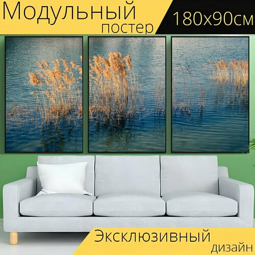 Модульный постер "Тростник, озеро, природа" 180 x 90 см. для интерьера