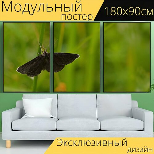 Модульный постер "Бабочка, мотылек, черный натяжитель" 180 x 90 см. для интерьера