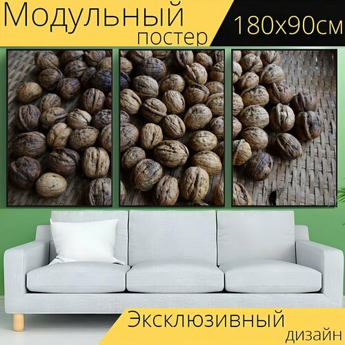 Модульный постер "Грецкие орехи, орехи, еда" 180 x 90 см. для интерьера
