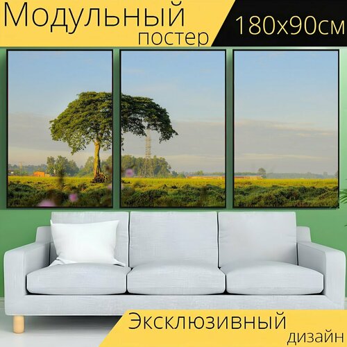 Модульный постер "Дерево, поле, пейзаж" 180 x 90 см. для интерьера