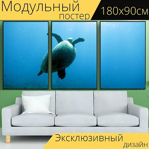 Модульный постер "Море, черепаха, ныряльщик" 180 x 90 см. для интерьера
