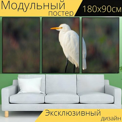 Модульный постер "Кран, белый журавль, птица" 180 x 90 см. для интерьера