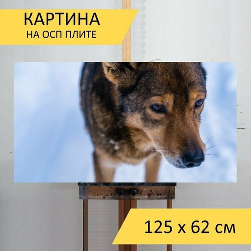 Картина на ОСП 125х62 см. "Собака, волк, снег" горизонтальная, для интерьера, с креплениями