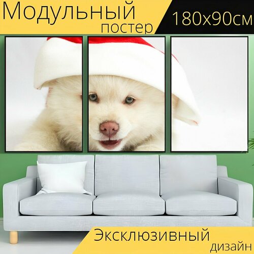 Модульный постер "Рождество, щенок, собака" 180 x 90 см. для интерьера
