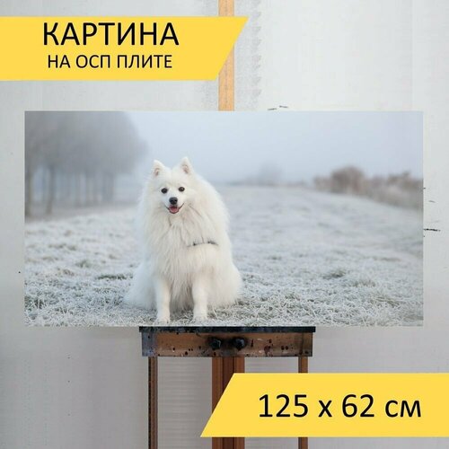 Картина на ОСП 125х62 см. "Собака, домашний питомец, снег" горизонтальная, для интерьера, с креплениями