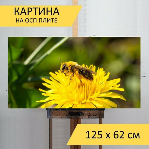 Картина на ОСП 125х62 см. "Пчела, цветочная пыльца, медовый" горизонтальная, для интерьера, с креплениями