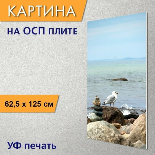 Вертикальная картина на ОСП "Чайка, балтийское море, чайки на пляже" 62x125 см. для интерьериа