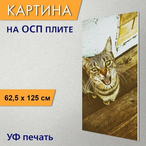 Вертикальная картина на ОСП "Кот, животное, домашнее животное" 62x125 см. для интерьериа