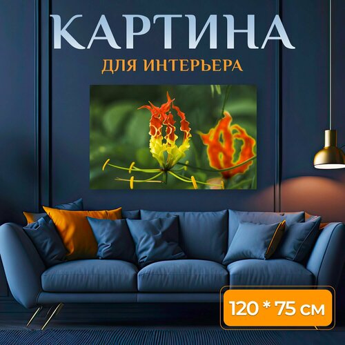 Картина на холсте "Огненная лилия, цветок, завод" на подрамнике 120х75 см. для интерьера
