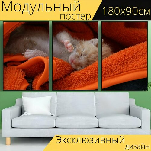 Модульный постер "Кошки, щенок, молодой кот" 180 x 90 см. для интерьера