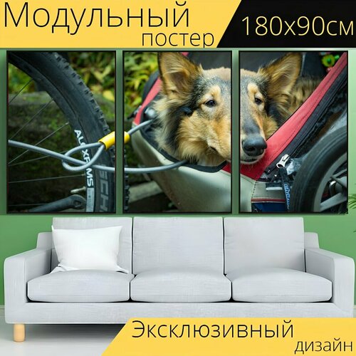 Модульный постер "Альтернативный транспорт, велосипед прицеп, собака" 180 x 90 см. для интерьера