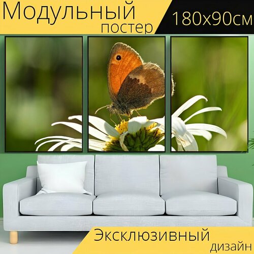 Модульный постер "Бабочка, маленькой луговой пташки, цветок" 180 x 90 см. для интерьера