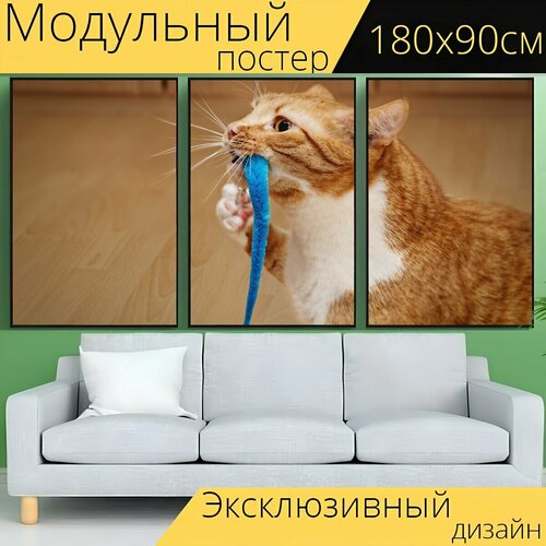 Модульный постер "Кот, игрушка, играть" 180 x 90 см. для интерьера