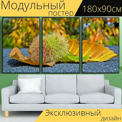 Модульный постер "Каштаны, съедобный, листья" 180 x 90 см. для интерьера