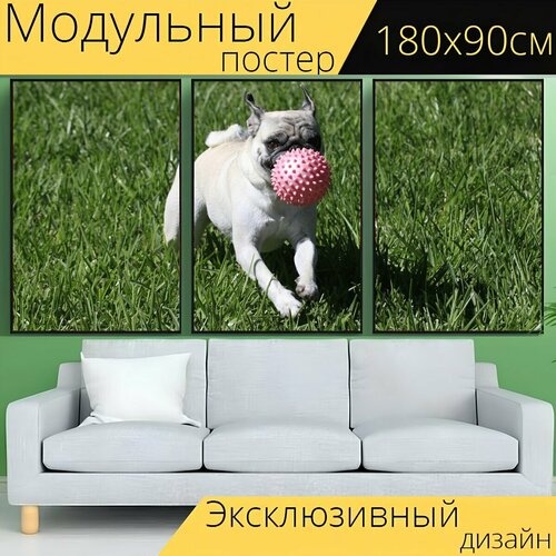 Модульный постер "Собака, мопс, играющий" 180 x 90 см. для интерьера