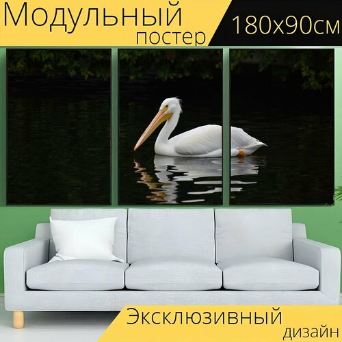 Модульный постер "Пеликан, белый, птица" 180 x 90 см. для интерьера