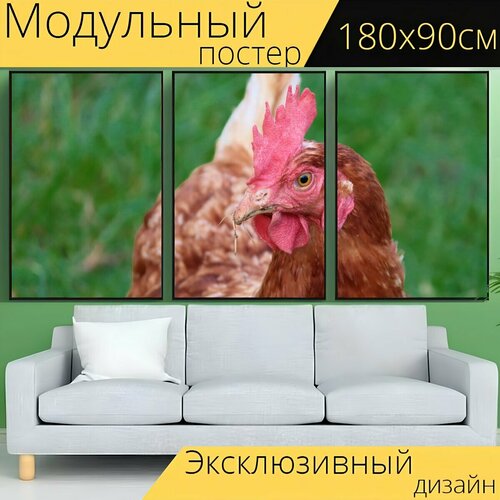 Модульный постер "Курица, птица, животное" 180 x 90 см. для интерьера