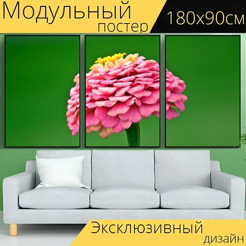 Модульный постер "Цинния, цветок, розовый" 180 x 90 см. для интерьера