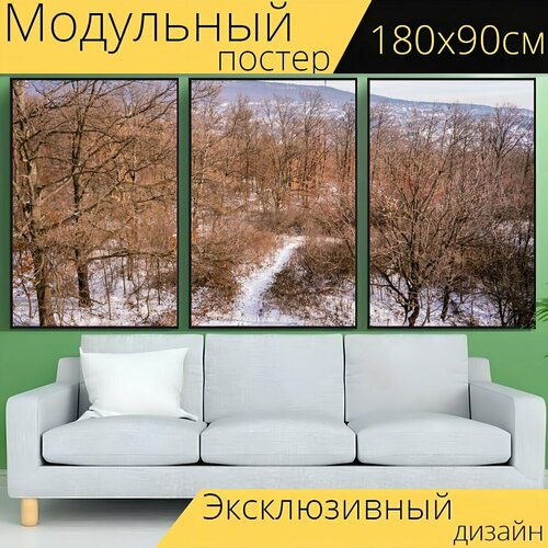 Модульный постер "Дорога, лес, зима" 180 x 90 см. для интерьера