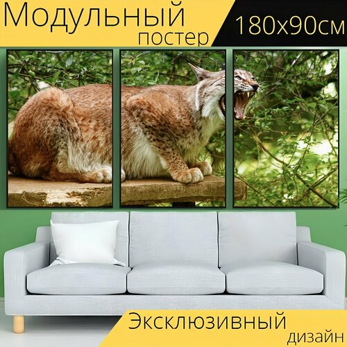 Модульный постер "Рысь, европейская рысь, млекопитающее" 180 x 90 см. для интерьера