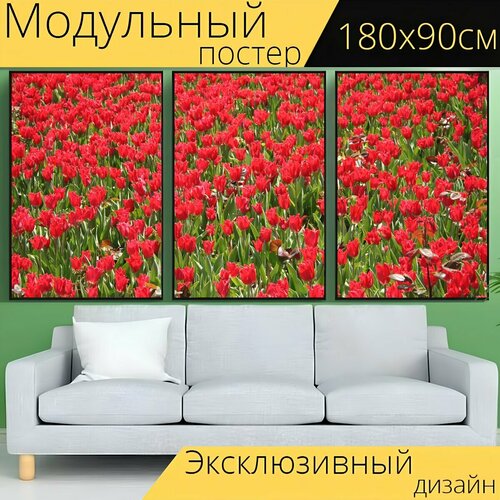 Модульный постер "Тюльпаны, цвет, весна" 180 x 90 см. для интерьера