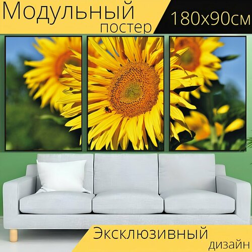 Модульный постер "Подсолнечник, цветок, пчела" 180 x 90 см. для интерьера
