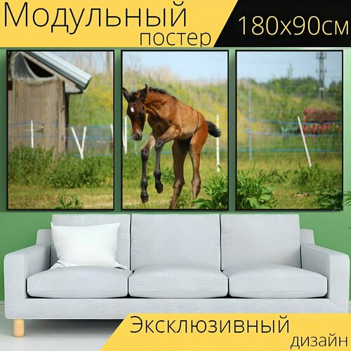 Модульный постер "Лошадь, жеребенок, коричневая плесень" 180 x 90 см. для интерьера