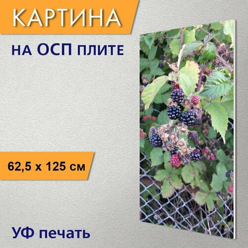 Вертикальная картина на ОСП "Ежевика, ягоды, листва" 62x125 см. для интерьериа
