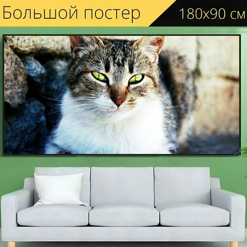 Большой постер "Кот, талисман, кошачий глаз" 180 x 90 см. для интерьера