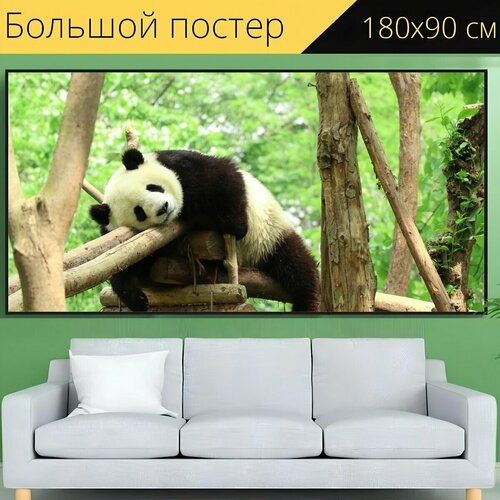 Большой постер "Панда, зоопарк, ленивый" 180 x 90 см. для интерьера