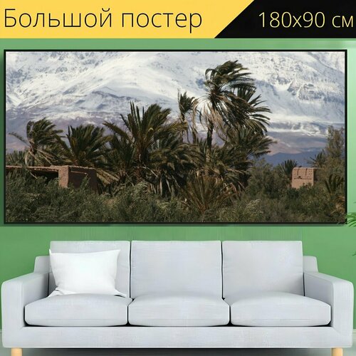 Большой постер "Гора, ладони, марокко" 180 x 90 см. для интерьера