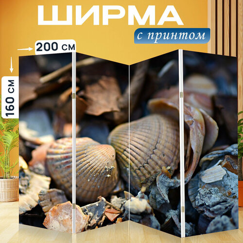 Ширма перегородка с принтом "Морская ракушка, кукла, моллюск" на холсте - 200x160 см. для зонирования, раскладная