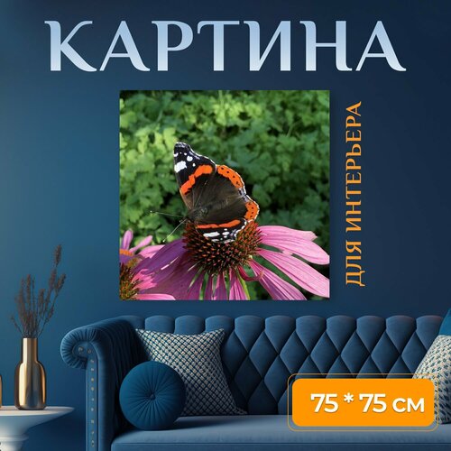 Картина на холсте "Бабочка, черный, оранжевый" на подрамнике 75х75 см. для интерьера