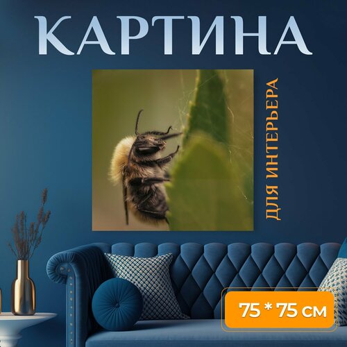 Картина на холсте "Макрос, насекомые, никон" на подрамнике 75х75 см. для интерьера