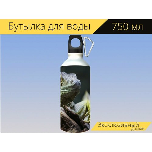 Бутылка фляга для воды "Ящерица, бородатая агама, рептилия" 750 мл. с карабином и принтом