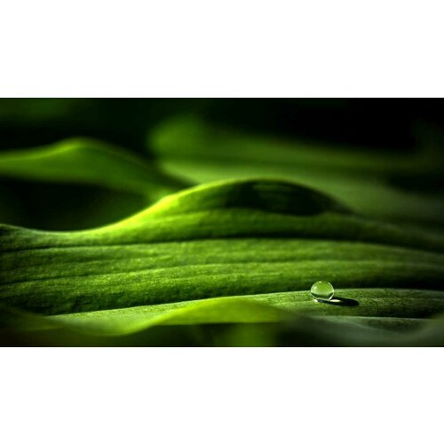 Картина на холсте 60x110 Альянс Лес "Макро шар капля лист зелень" на подрамнике / интерьер/ декор