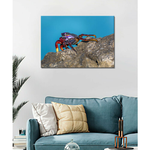 Картина - Краб, крабы, крабик, морской краб, красивый краб, большой краб, фиолетовый краб (11) 40х60