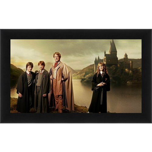 Плакат, постер на холсте Harry Potter. Размер 30х42 см