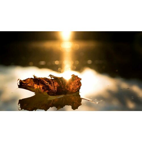 Картина на холсте 60x110 Альянс Лес "Осень лист вода макро блики" на подрамнике / интерьер/ декор