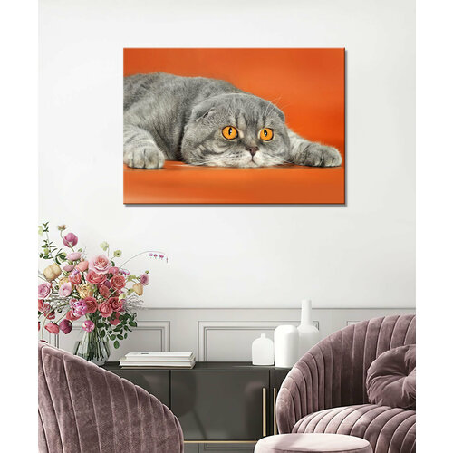 Картина - кошка, шотландская вислоухая кошка, домашняя кошка, ласковая кошка, кот (249) 20х30