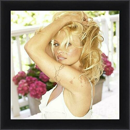 Плакат, постер на холсте Pamela Anderson-Памела Андерсон. Размер 21 х 30 см
