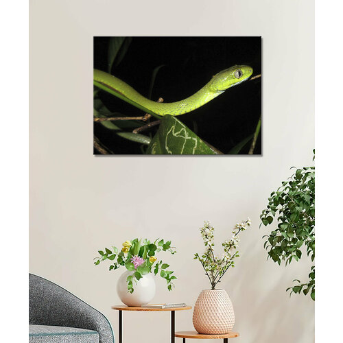 Картина - змея, зелёная змея, маленькая змея, змея в растениях (21) 20х30
